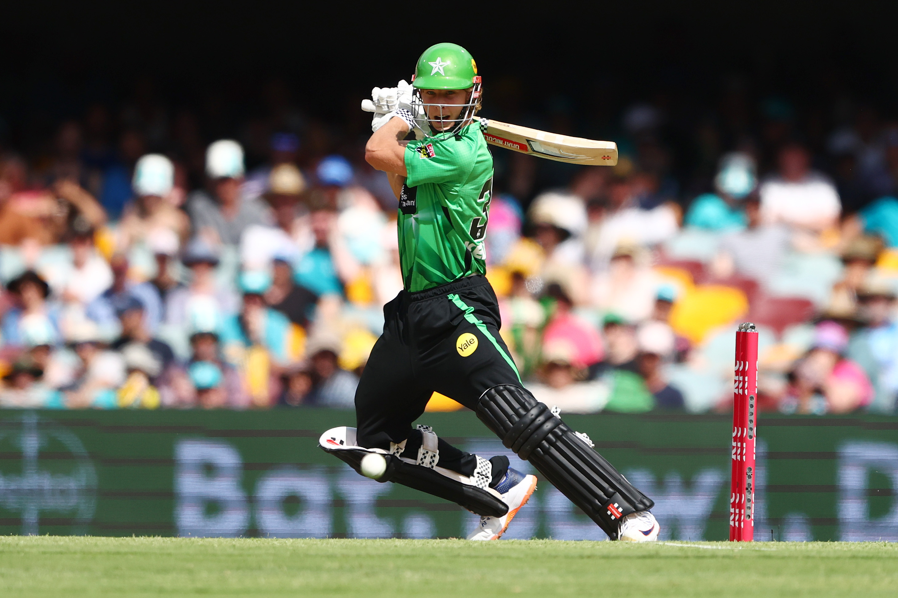 Kellaway back for BBL|13 | Melbourne Stars
